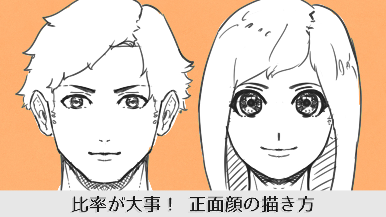 正面顔の描き方は比率が大切！【5ステップで解説】 | シジストラボ